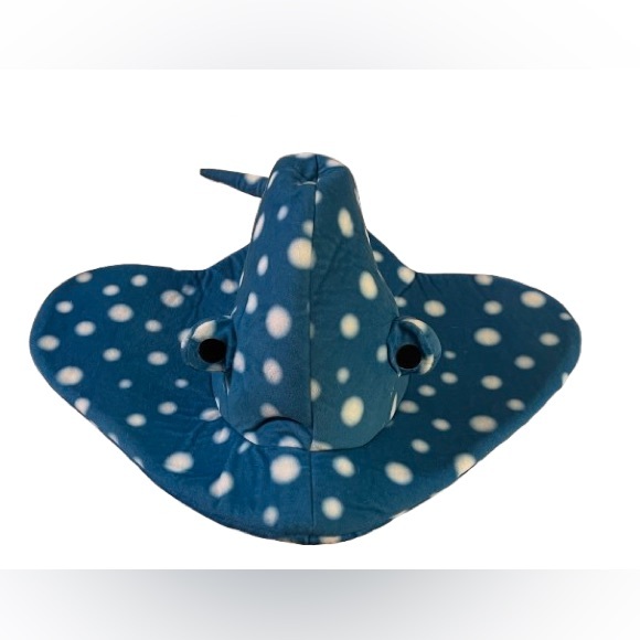 Fiesta | Accessories | Fiesta Manta Ray Hat | Poshmark